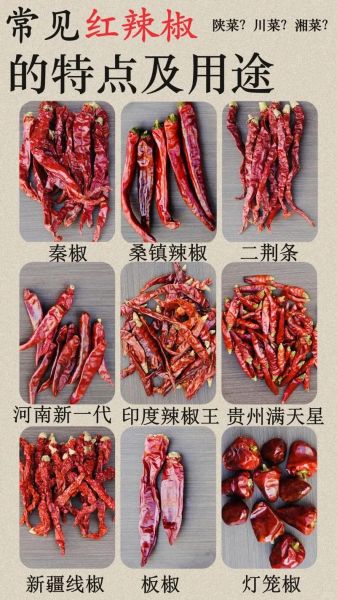 辣椒品种大全及图片名称_如何区分辣椒种类-第3张图片-山城妙识