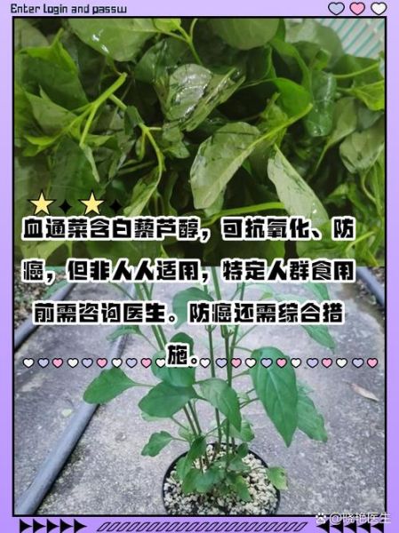 通菜的功效与作用禁忌_通菜什么人不能吃-第1张图片-山城妙识