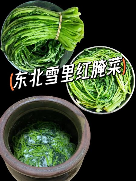 雪里红怎么腌制不苦_雪里红腌制多久能吃-第1张图片-山城妙识