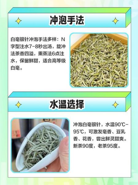白毫银针价格多少钱一斤_白毫银针怎么泡才正确-第2张图片-山城妙识
