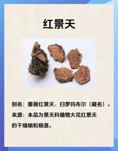 红景天副作用大吗_红景天吃了有什么不良反应-第1张图片-山城妙识