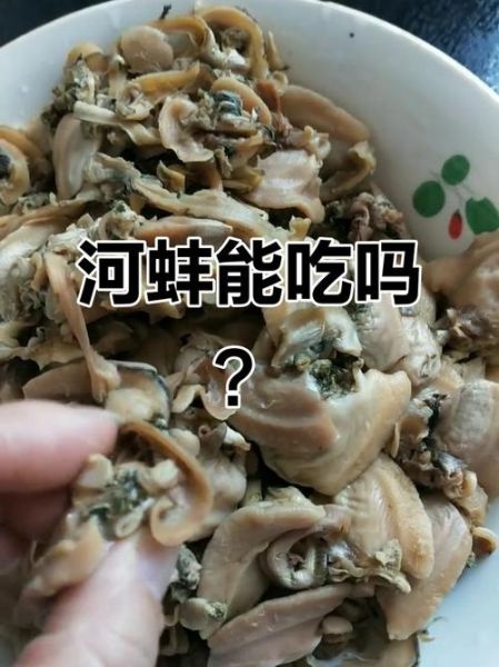 河蚌寄生虫图片_河蚌寄生虫对人体有害吗-第1张图片-山城妙识
