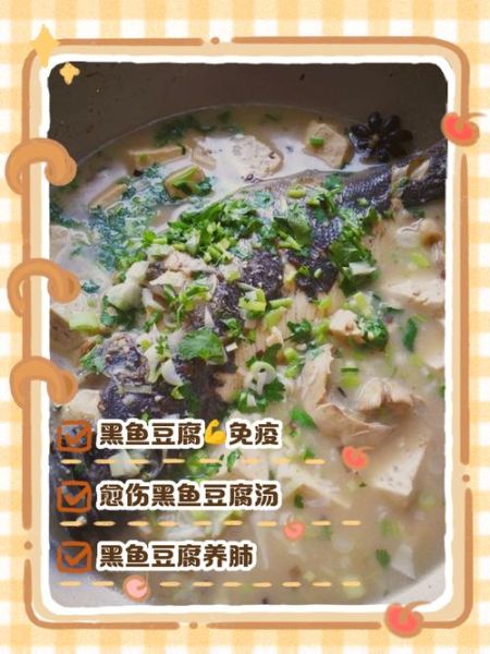 黑鱼豆腐汤的功效与作用_孕妇可以喝吗-第3张图片-山城妙识
