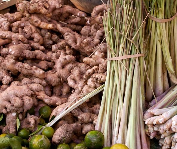 沙姜长什么样_沙姜图片大全哪里找-第3张图片-山城妙识