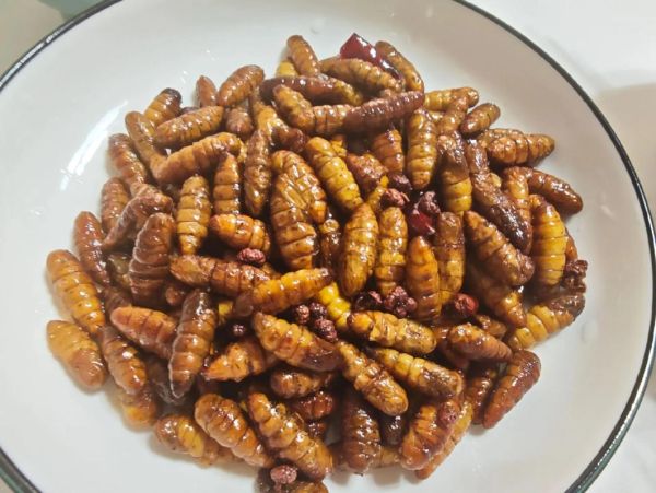 干煸蚕蛹怎么做_干煸蚕蛹饭店做法-第1张图片-山城妙识 干煸蚕蛹怎么做_干煸蚕蛹饭店做法-第1张图片-山城妙识