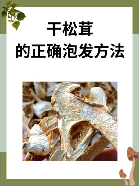干松蘑怎么泡发_干松蘑的家常做法-第1张图片-山城妙识