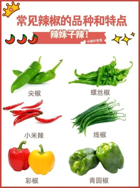 大辣椒图片_如何识别不同品种-第1张图片-山城妙识