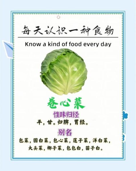 卷心菜的营养价值_卷心菜的功效与作用-第1张图片-山城妙识