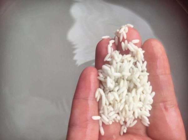 包粽子的米泡了三天还能用吗_泡米三天后怎么补救-第3张图片-山城妙识