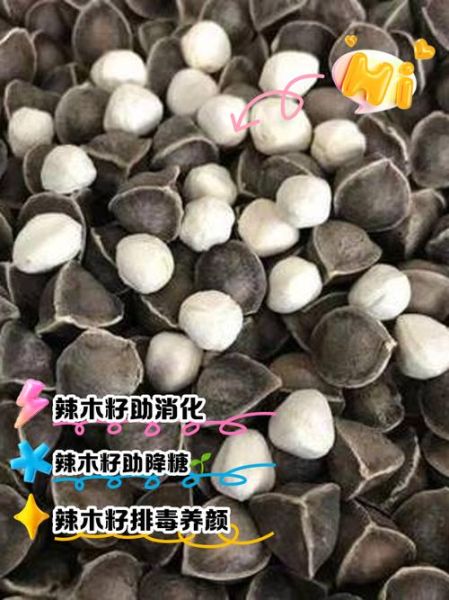 辣木籽的功效与作用_辣木籽怎么吃效果最好-第2张图片-山城妙识