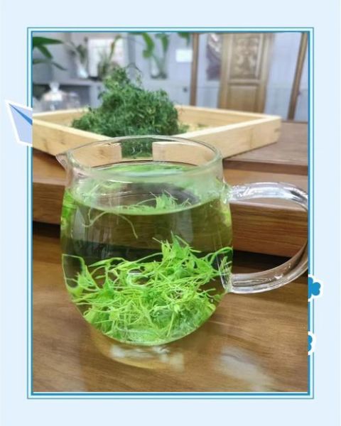 绞股蓝泡水喝的禁忌_哪些人不能喝-第1张图片-山城妙识