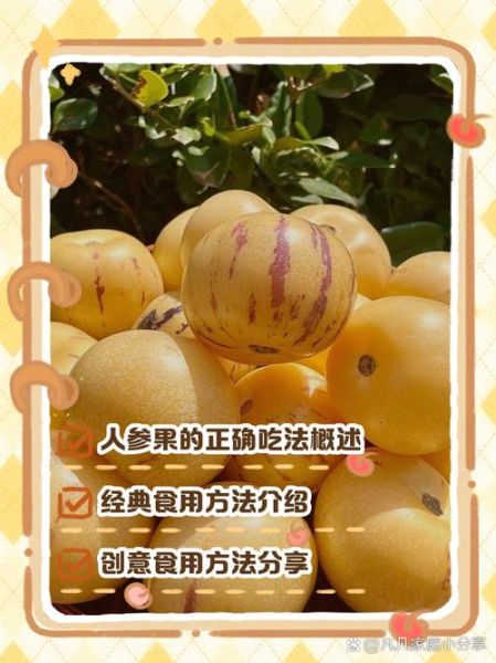 人参果怎么吃图解_人参果的正确吃法-第1张图片-山城妙识