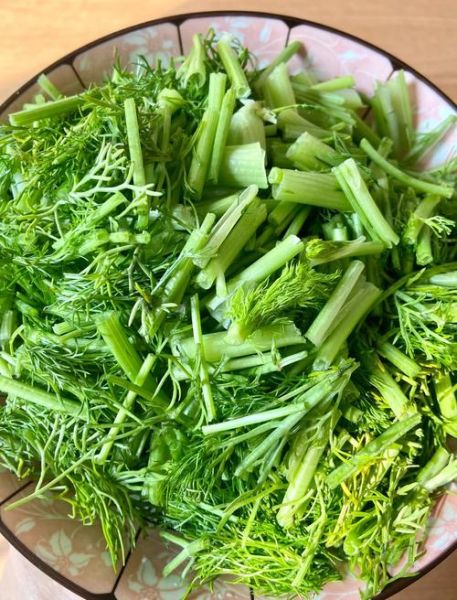 茴香治肠胃真的有用吗_怎么吃效果最好-第3张图片-山城妙识