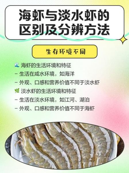 海虾和河虾的区别_如何挑选更新鲜-第2张图片-山城妙识