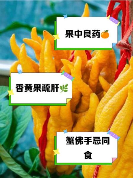 佛手果图片大全_佛手果的功效与作用-第2张图片-山城妙识