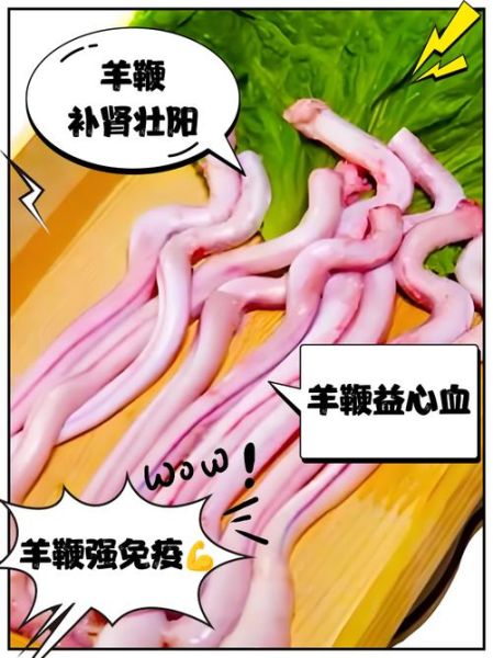 羊鞭是什么_羊鞭的功效与作用-第2张图片-山城妙识 羊鞭是什么_羊鞭的功效与作用-第2张图片-山城妙识