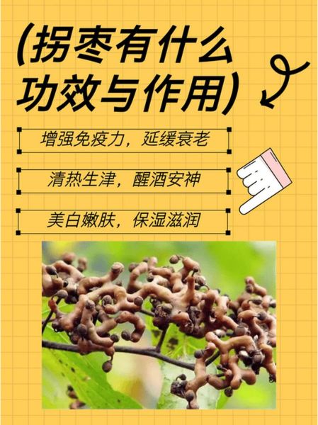 拐枣长什么样_拐枣的功效与作用-第1张图片-山城妙识