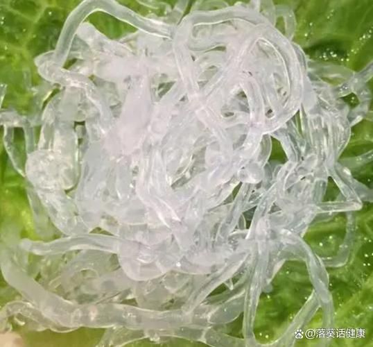 人造海蜇丝是什么做的_人造海蜇丝有危害吗-第1张图片-山城妙识 人造海蜇丝是什么做的_人造海蜇丝有危害吗-第1张图片-山城妙识