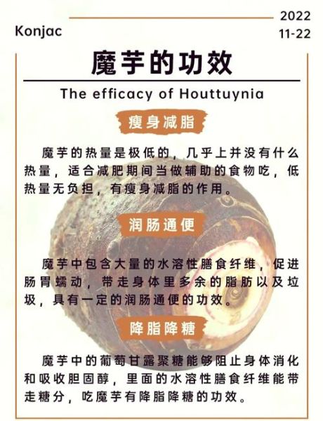 魔芋是什么做的原材料_魔芋粉怎么来的-第1张图片-山城妙识