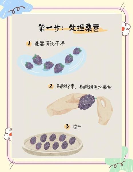 桑葚酒怎么酿_桑葚酒的做法步骤-第2张图片-山城妙识