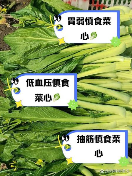 菜心的功效与作用禁忌_什么人不能吃菜心-第1张图片-山城妙识