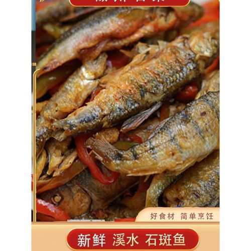 野生淡水石斑鱼多少钱一斤_哪里能买到正宗货-第2张图片-山城妙识