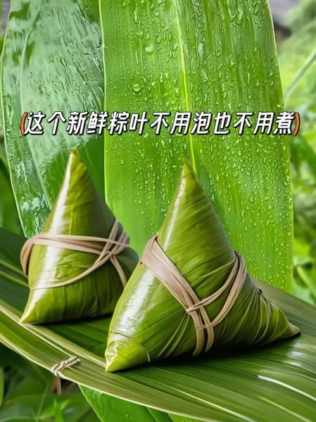 粽子叶在哪里买_粽子叶购买渠道-第3张图片-山城妙识