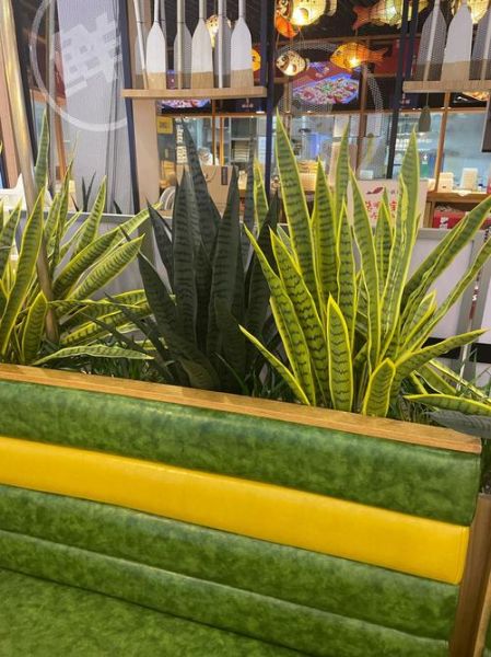 鱼肉水饺怎么做_鱼肉水饺馅怎么调才嫩-第3张图片-山城妙识