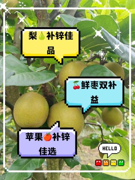 含锌高的水果有哪些_吃什么水果补锌最快-第3张图片-山城妙识