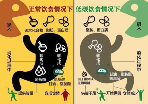 阿特金斯减肥法_如何科学执行低碳高脂饮食-第3张图片-山城妙识