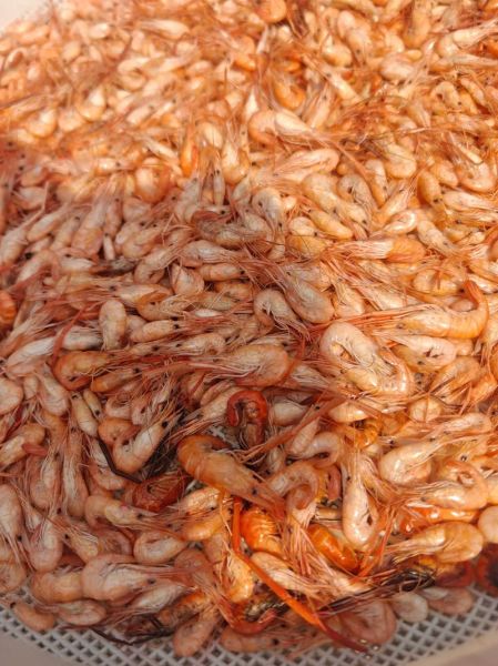 小河虾吃什么食物_小河虾饲料怎么选-第3张图片-山城妙识