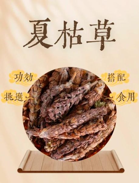 夏枯草副作用致癌_夏枯草会致癌吗-第2张图片-山城妙识