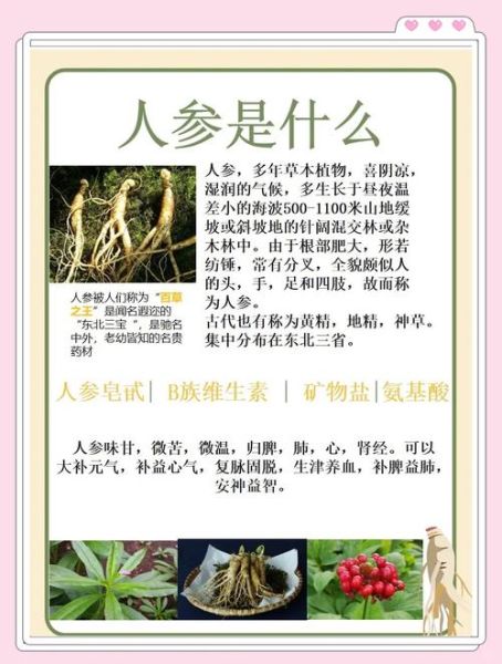 鲜人参怎么吃效果最好_鲜人参最佳吃法-第3张图片-山城妙识