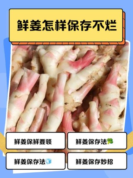 鲜姜怎么腌制又脆又辣_鲜姜如何长期保存不发芽-第1张图片-山城妙识
