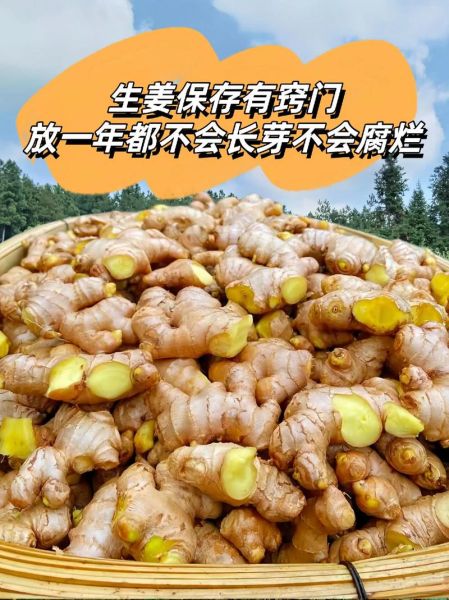 鲜姜怎么腌制又脆又辣_鲜姜如何长期保存不发芽-第2张图片-山城妙识