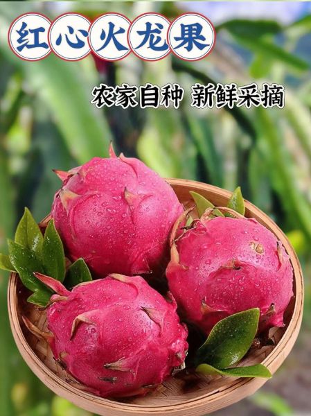 红心火龙果的功效与作用_红心火龙果能减肥吗-第3张图片-山城妙识