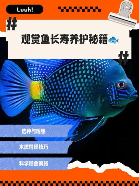 长寿鱼产地哪里_长寿鱼为什么能活这么久-第2张图片-山城妙识