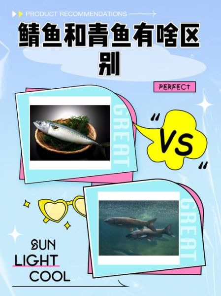 野生青鱼图片大全_野生青鱼怎么分辨真假-第1张图片-山城妙识 野生青鱼图片大全_野生青鱼怎么分辨真假-第1张图片-山城妙识