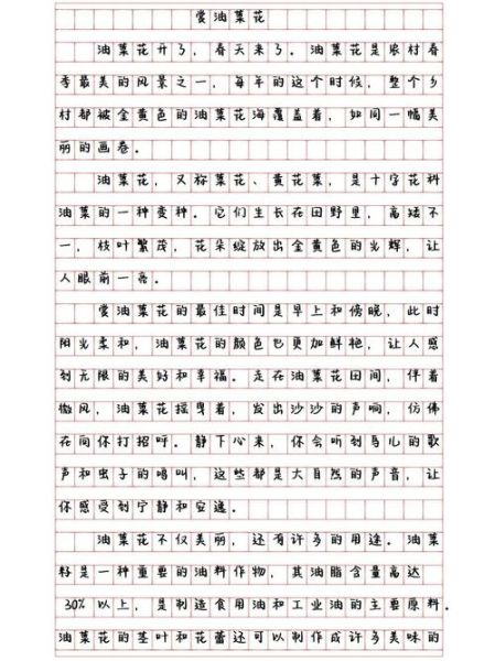 菜花节作文怎么写_菜花节作文开头结尾-第1张图片-山城妙识