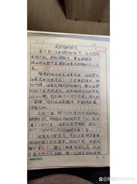 菜花节作文怎么写_菜花节作文开头结尾-第2张图片-山城妙识