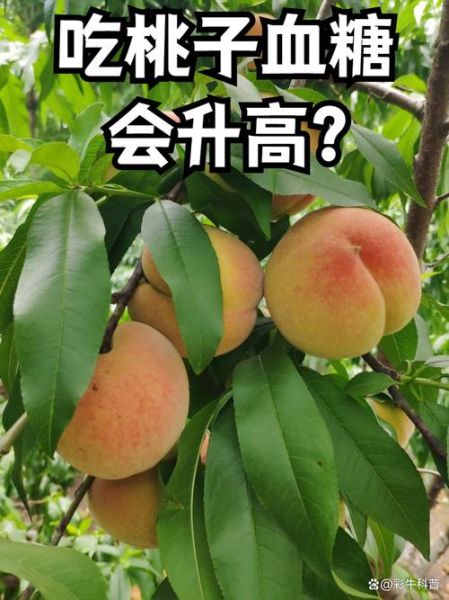 糖尿病可以吃樱桃吗_樱桃升糖指数高吗-第3张图片-山城妙识