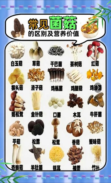 菌类有哪些营养价值_菌类怎么吃最健康-第2张图片-山城妙识 菌类有哪些营养价值_菌类怎么吃最健康-第2张图片-山城妙识