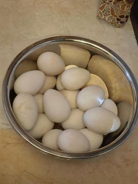 大鹅蛋怎么腌制才流油_流油大鹅蛋腌制方法-第3张图片-山城妙识