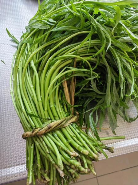 芦蒿叶子能吃吗_芦蒿叶子怎么吃-第3张图片-山城妙识