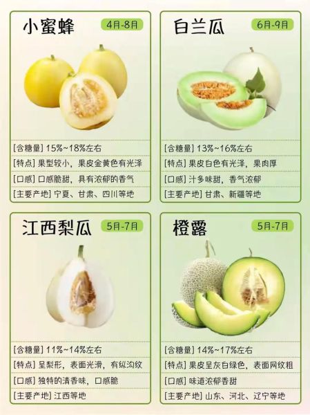 什么水果最健康_100种常见水果营养价值排行榜-第2张图片-山城妙识