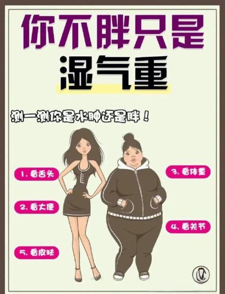 去湿气减肥最好的方法_湿气重怎么减肥最快-第3张图片-山城妙识 去湿气减肥最好的方法_湿气重怎么减肥最快-第3张图片-山城妙识