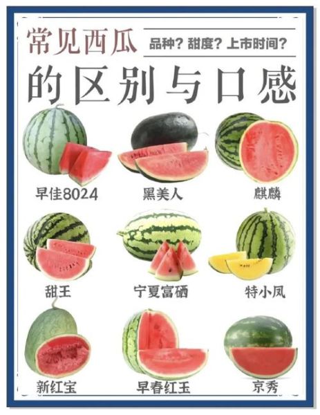西瓜的功效与作用是什么_夏天吃西瓜有什么好处-第1张图片-山城妙识