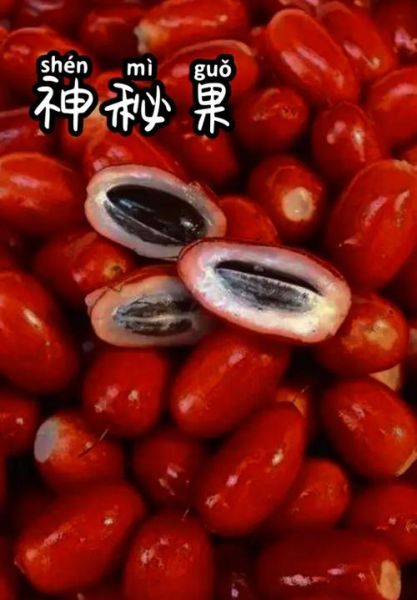 神秘果一次可以吃几个_神秘果吃多了会怎样-第2张图片-山城妙识