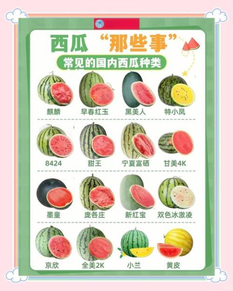 西瓜的功效与作用是什么_夏天吃西瓜有什么好处-第2张图片-山城妙识