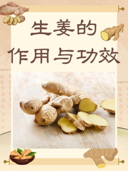 生姜的药用功效_生姜能治疗哪些疾病-第1张图片-山城妙识